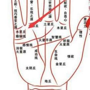 霄老师相学 
