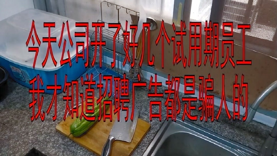 公司开了好几个试用期员工,我才知道招聘广告也有骗人的,太难了