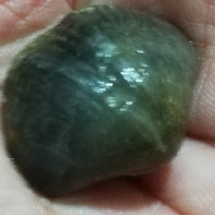 匡匡家的小胖胖 