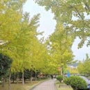 爱吃梨の东里彬郁 