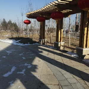 老袁在线 