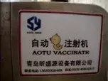 鸭连续自动注射器