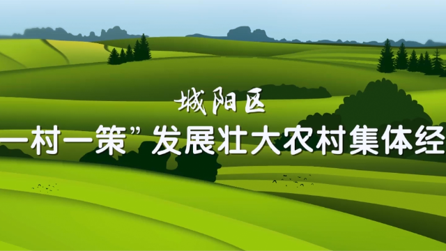 城阳区:“一村一策”发展壮大农村集体经济