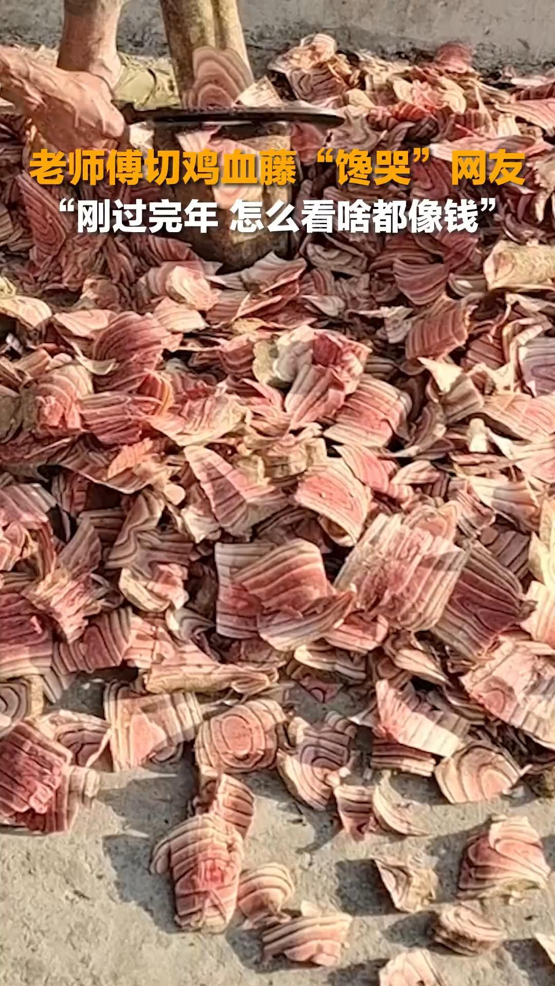 穷疯了看啥都像钱!广西老师傅切鸡血藤,"馋哭"网友