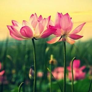 时光科技Hoursoflight 