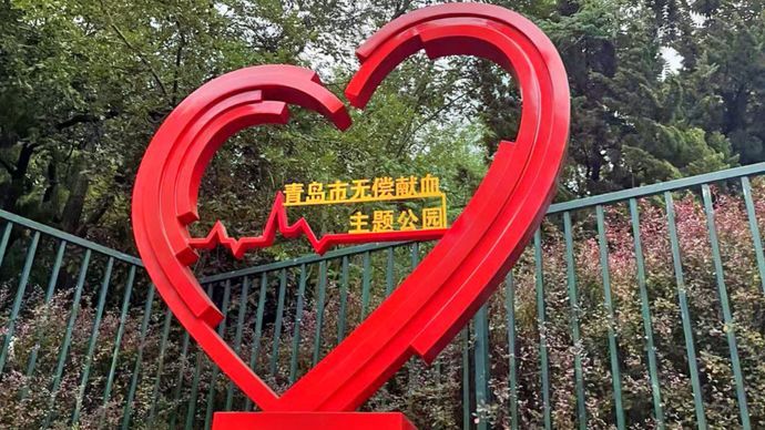 果然视频|世界献血日,在青岛无偿献血主题公园里寻锦囊、涨知识