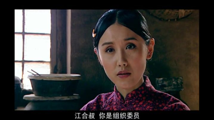 支委对处理蒋殿人产生意见分歧,江水山坚持对蒋不手软形成决议