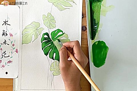 水彩绿植画法
