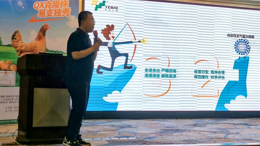 鸡传染性支气管炎科学落地解决方案---32字方针