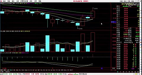 ...形态(图解) 林园:把握投资确定性 实现复合增长 五分钟基础-布林线指标