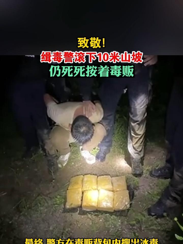 缉毒警滚下10米山坡仍死死按着毒贩,致敬!