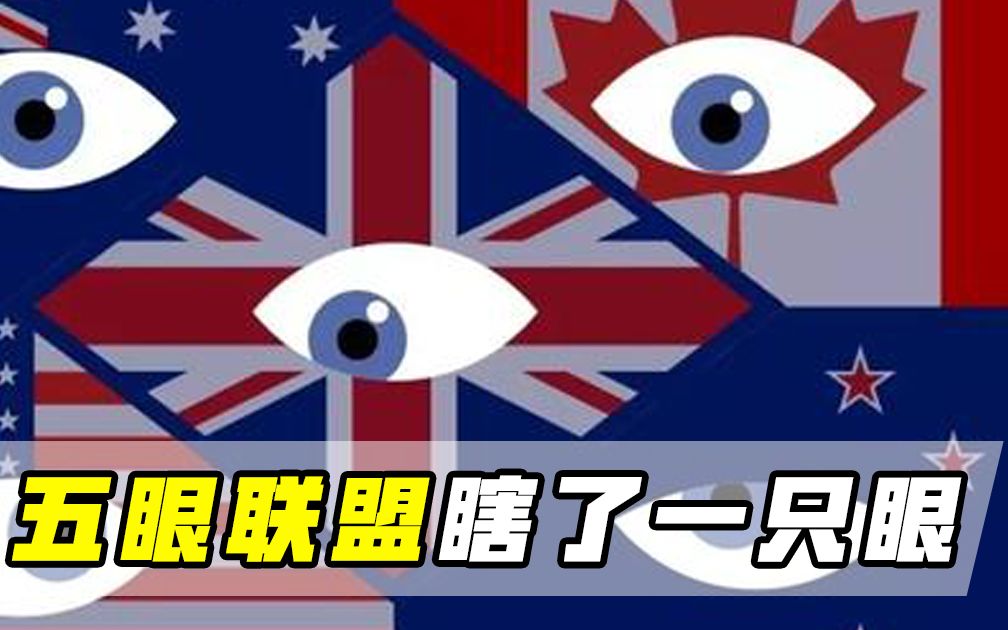 五眼联盟“瞎”了一只眼,新西兰拒发反华声明,中方回应一针见血