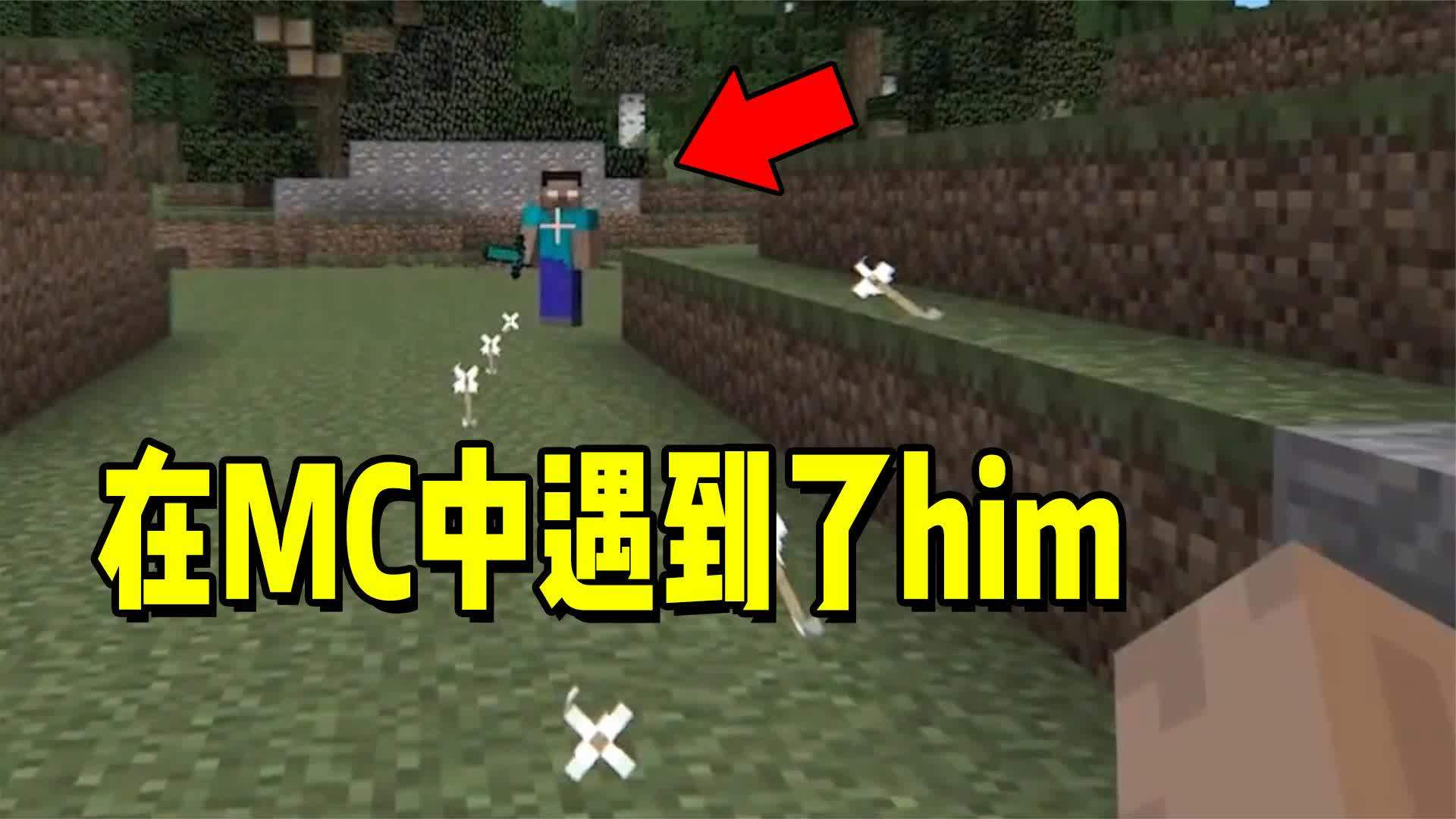 我的世界:居然偶遇him?我该怎么逃离他?