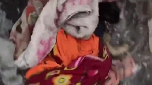 我们家床单半年洗一次,放在洗衣机里面的样子,真怕你们笑话我!