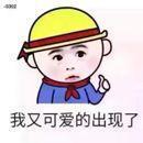 怀乡小胖 
