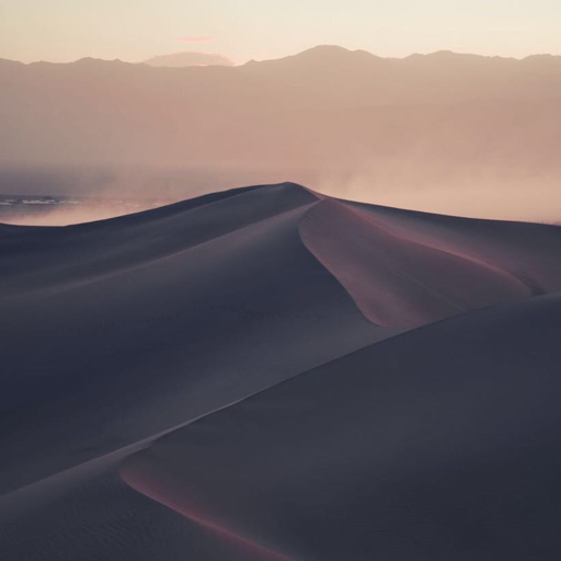 张-_-起个名字真费劲 