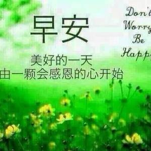 手机技巧分享达人 