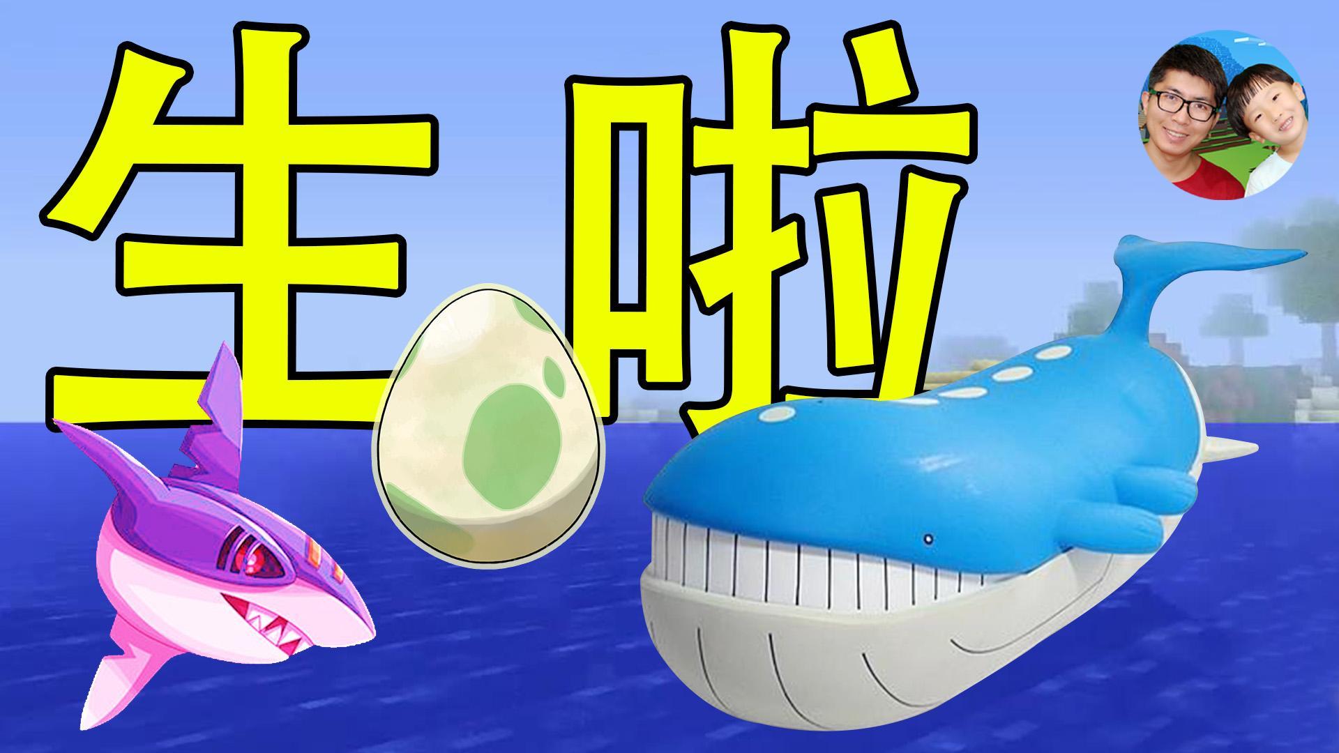 我的世界神奇宝贝模组生存35 吼鲸王终于生啦 宝爸再次完美错过 小宝...