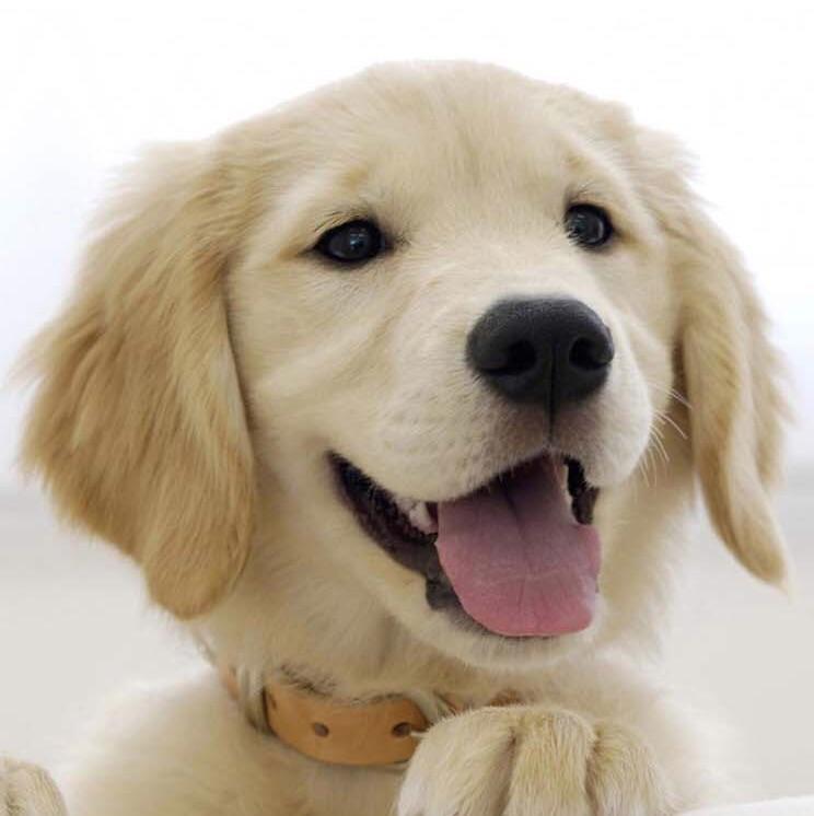 摩尔的格外圆满 