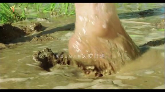 县长带头倡导节粮行动,涉县最硬公益片《光盘行动》首发