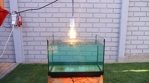 小伙实验把通电的灯泡放进装水的鱼缸里,不怕电路烧了吗?