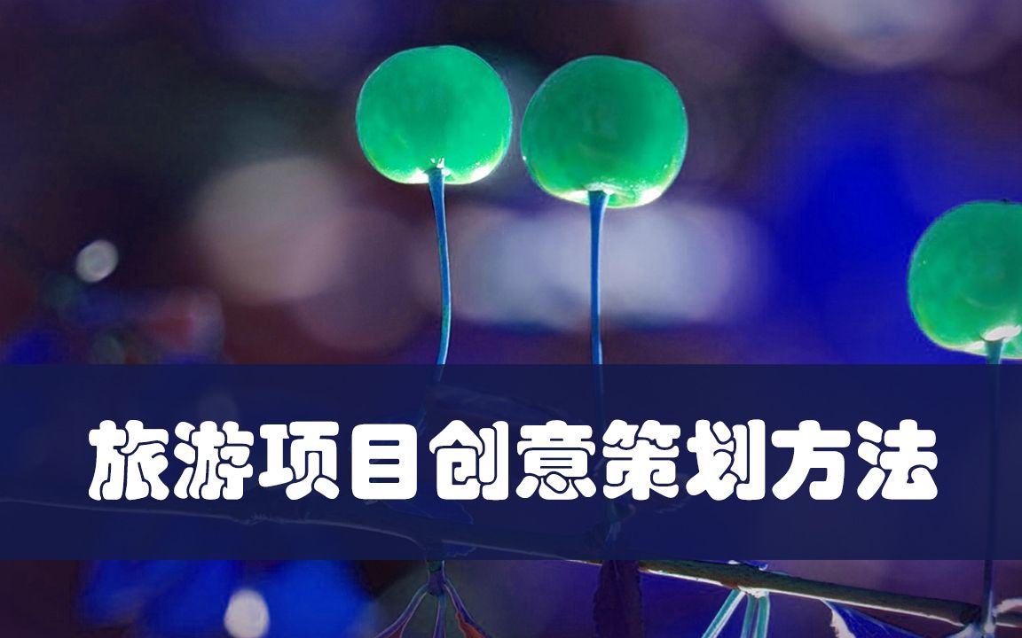 旅游项目创意策划方法