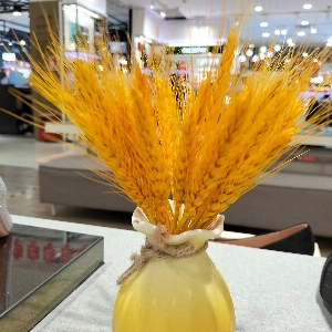 北沟转转 