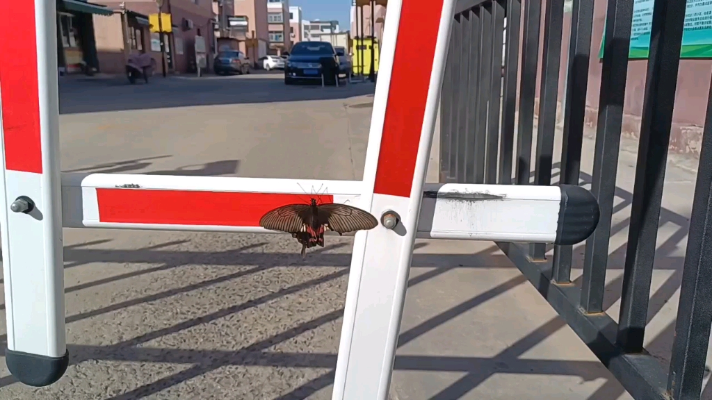 模拟器 拳皇盒子 DC 鸟之诗和蝴蝶_单机游戏热门视频