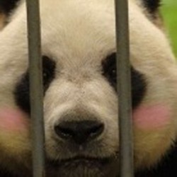 乱码的旅行故事 