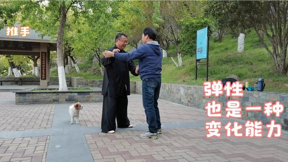 弹性,也是一种变化能力