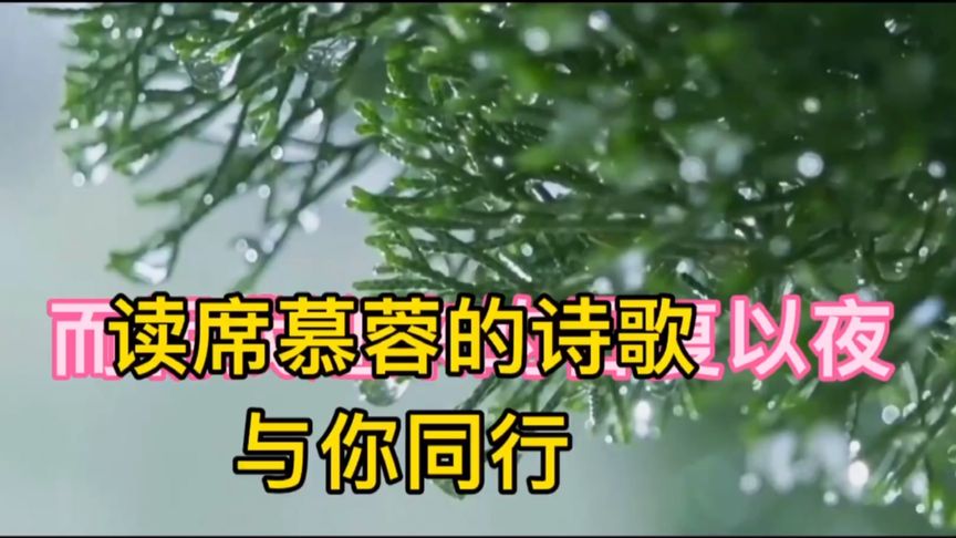 席慕蓉优美诗歌「与你同行」娇子姐姐诵读!