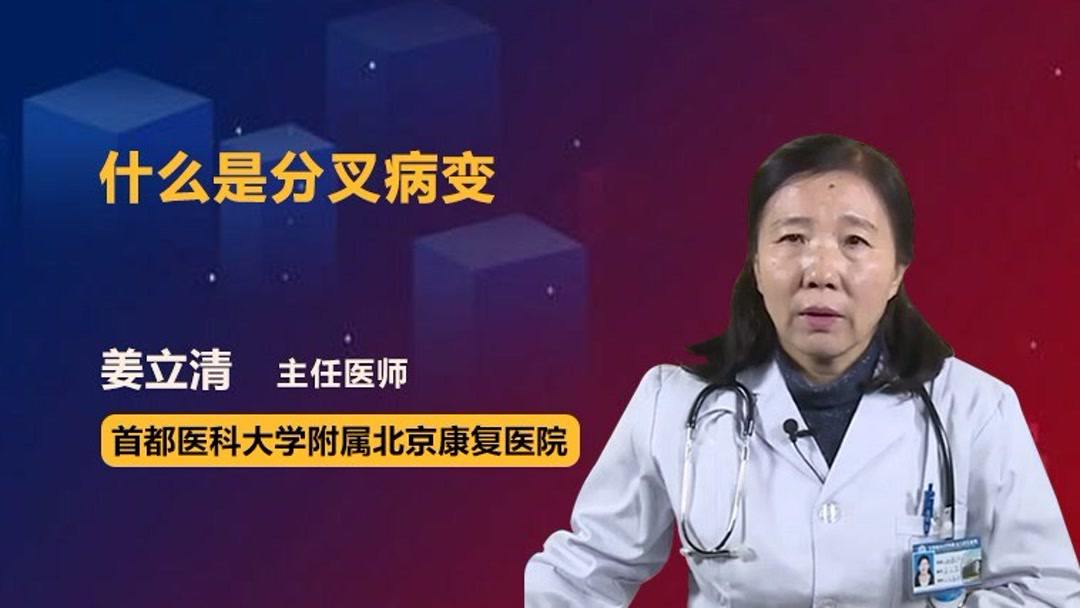 什么是分叉病变