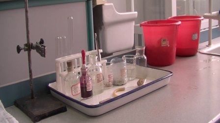 实验3:二氧化碳的制取与性质