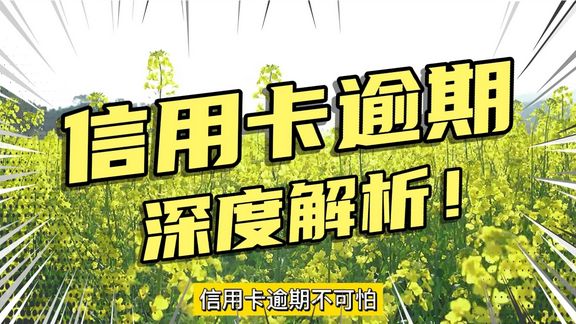 信用卡逾期后应该怎么办,看完这个事情你就会更加了解!