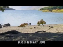与恐龙同行 国语版