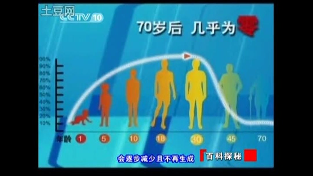 氨糖作用