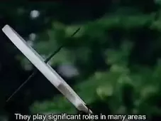 北京师范大学宣传片_标清