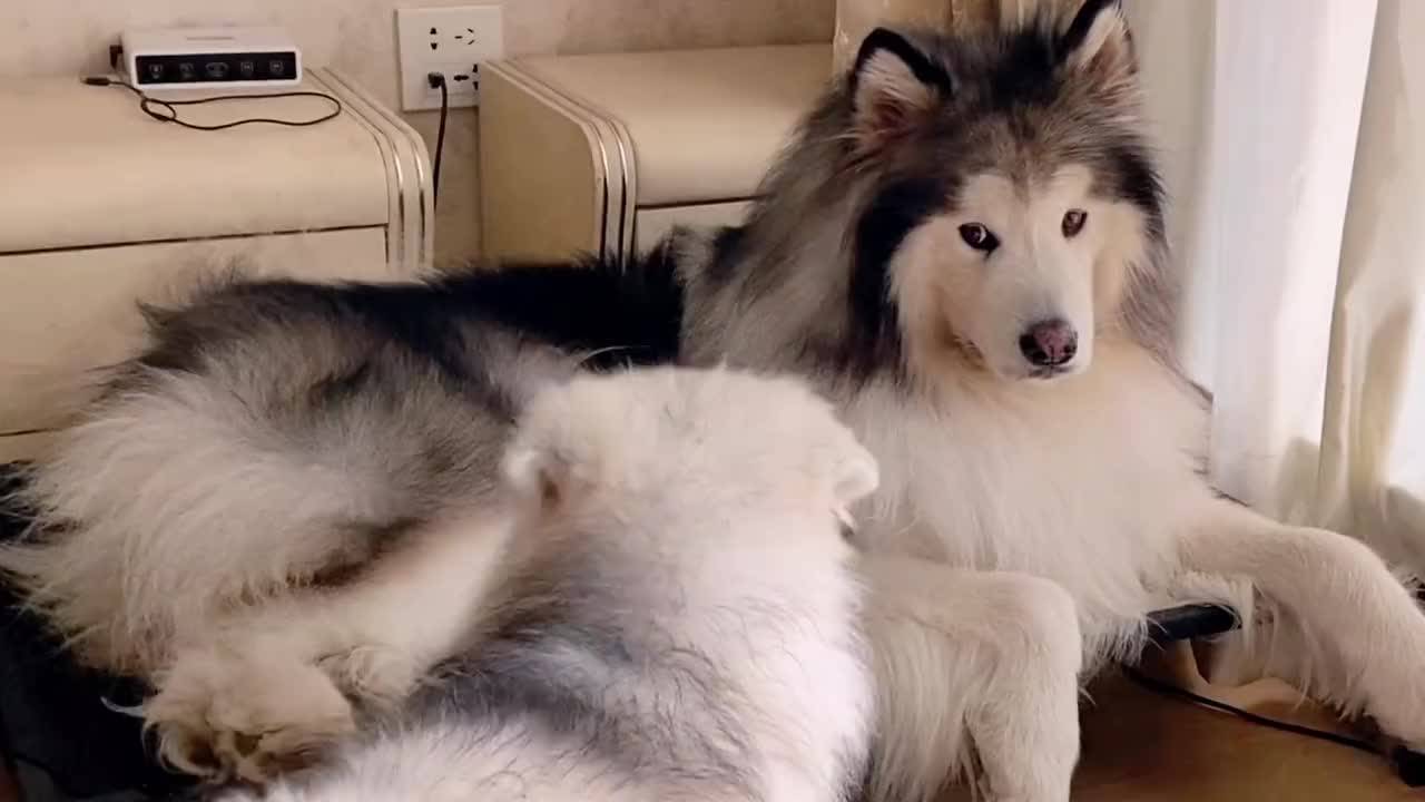 这怎么一脸不可思议的表情