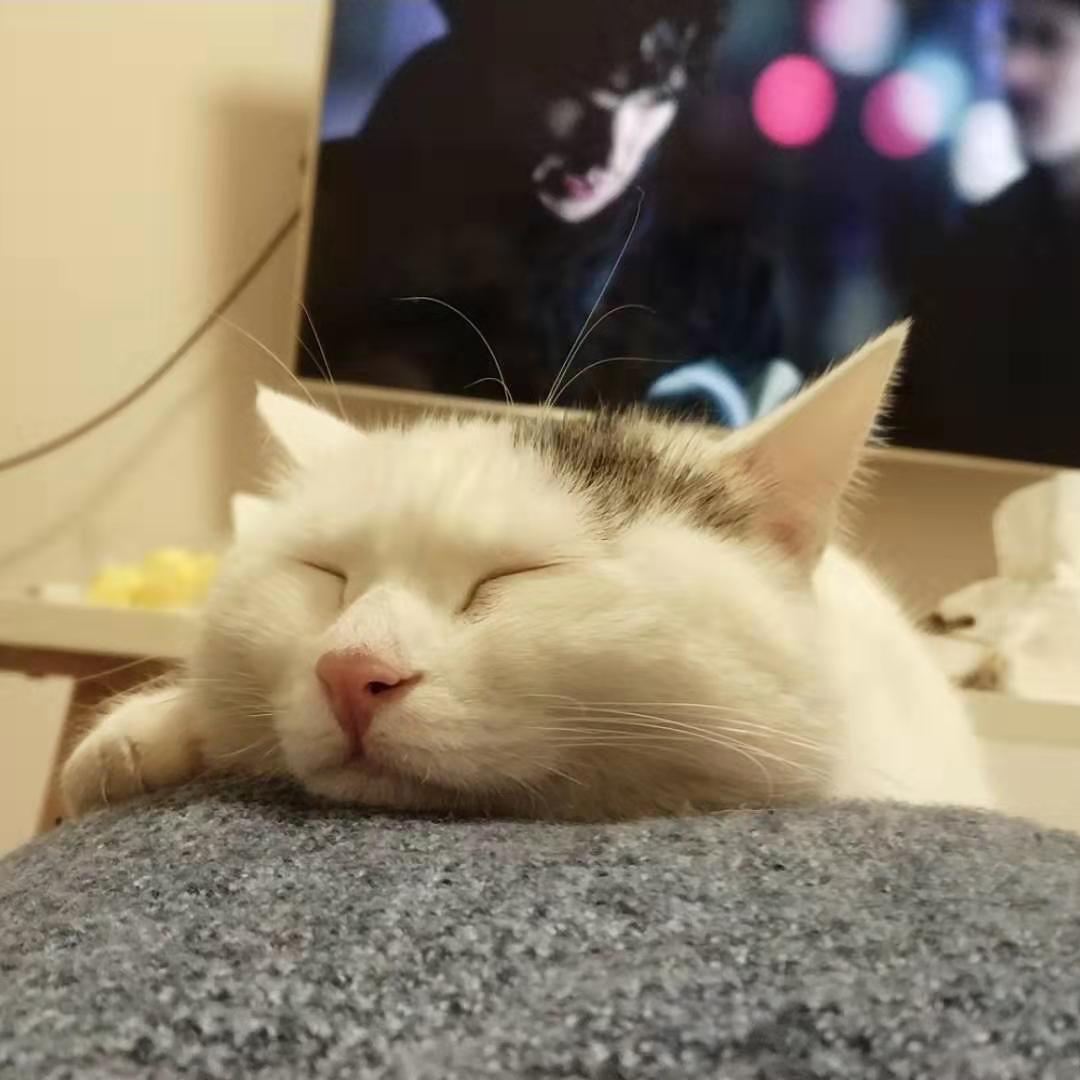 阿达的胡搞瞎搞 