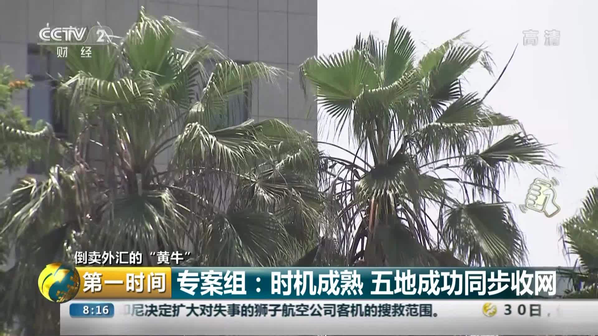 倒卖外汇的“黄牛”:专案组时机成熟 五地成功同步收网