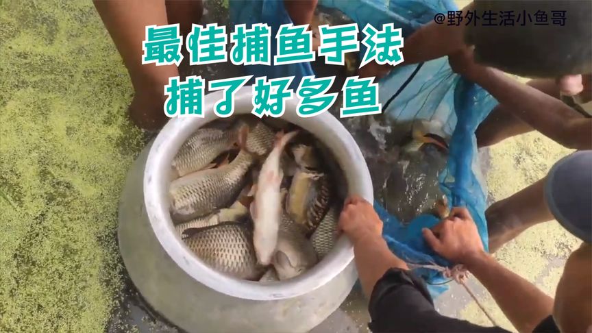 最佳传统渔网 | 最佳抛网捕捞大鱼