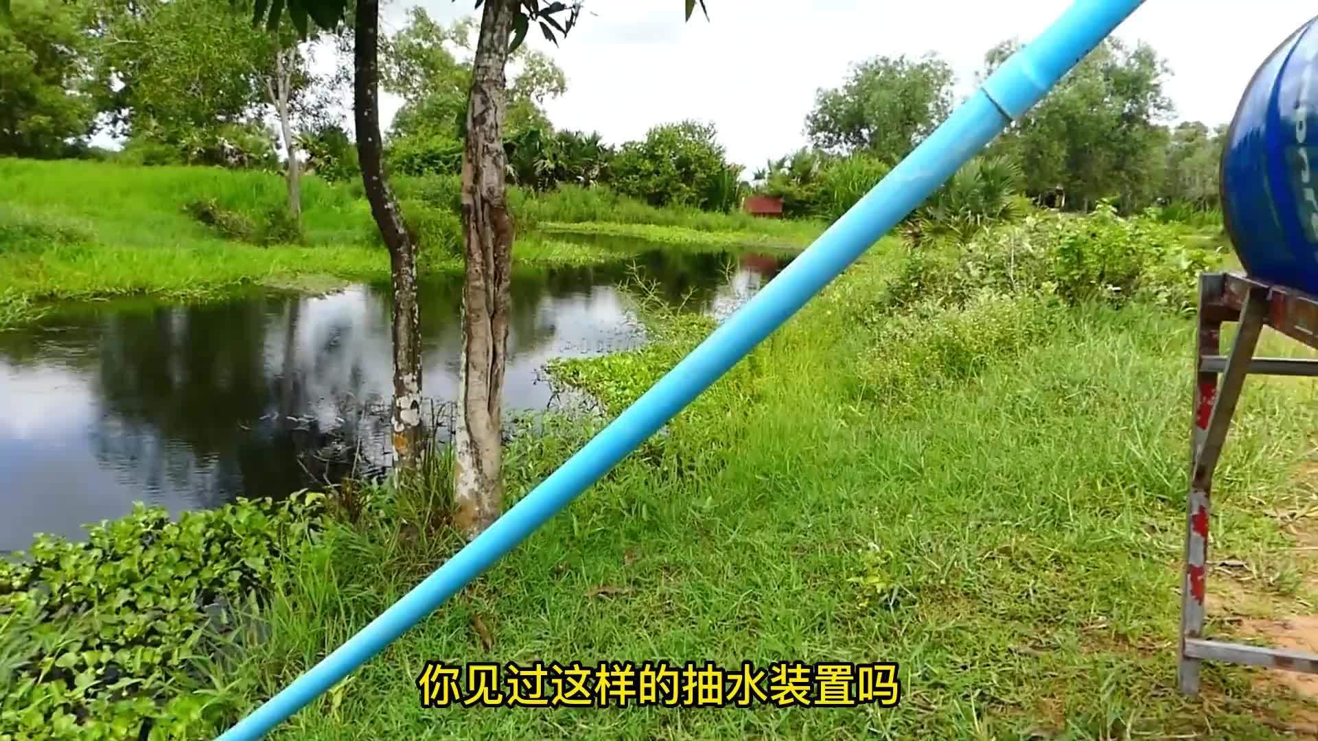 农村小伙利用油桶和水管制作抽水装置,轻轻松松实现免费抽水