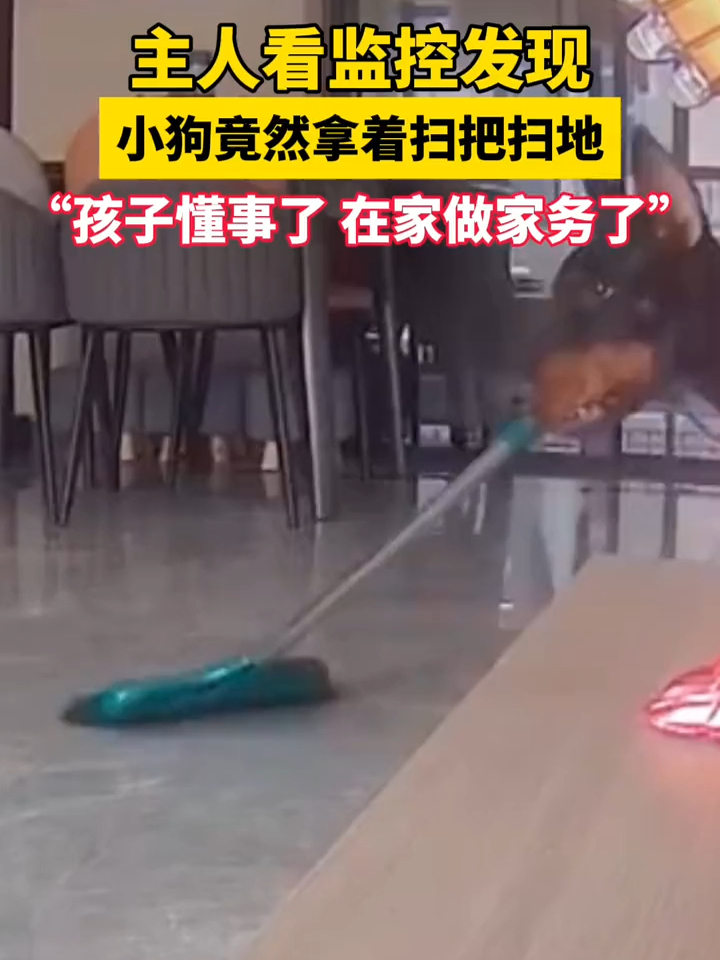 孩子懂事了,在家做家务了