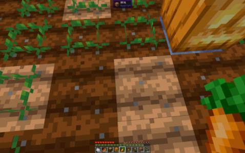 [我的世界]开始种田2