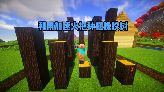 我的世界：暗墨的生存 06 利用加速火把种植橡胶树