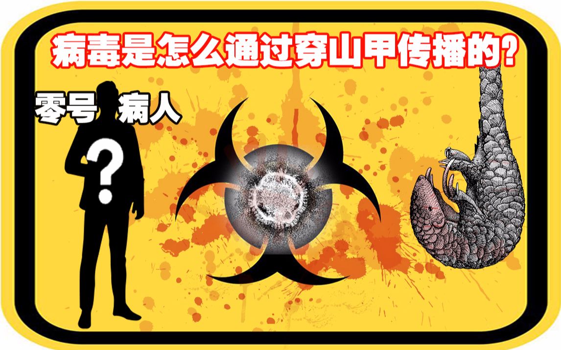 ...最有可能是那些人? 病毒是怎么通过穿山甲传播的?中国蝙蝠为什么会...