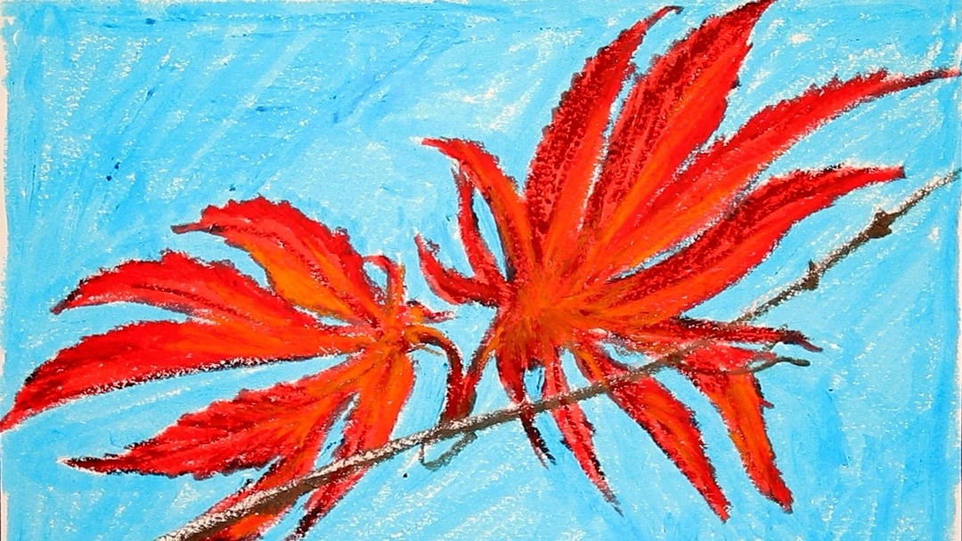 绘画是天生的技能,可你总是画不好,因为你从未尝试过用它来画