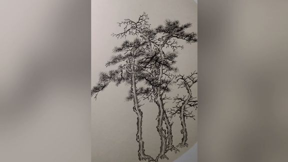 录制山水画中柏树的画法