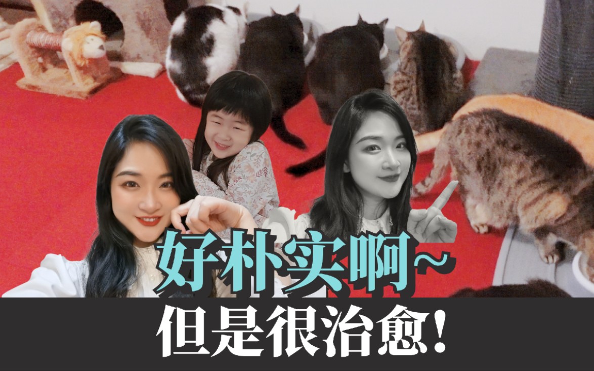 一起来看看欧洲的流浪猫咖啡馆长啥样?