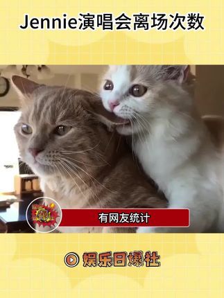 有网友统计目前Jennie演唱会期间演出离场次数高达5次